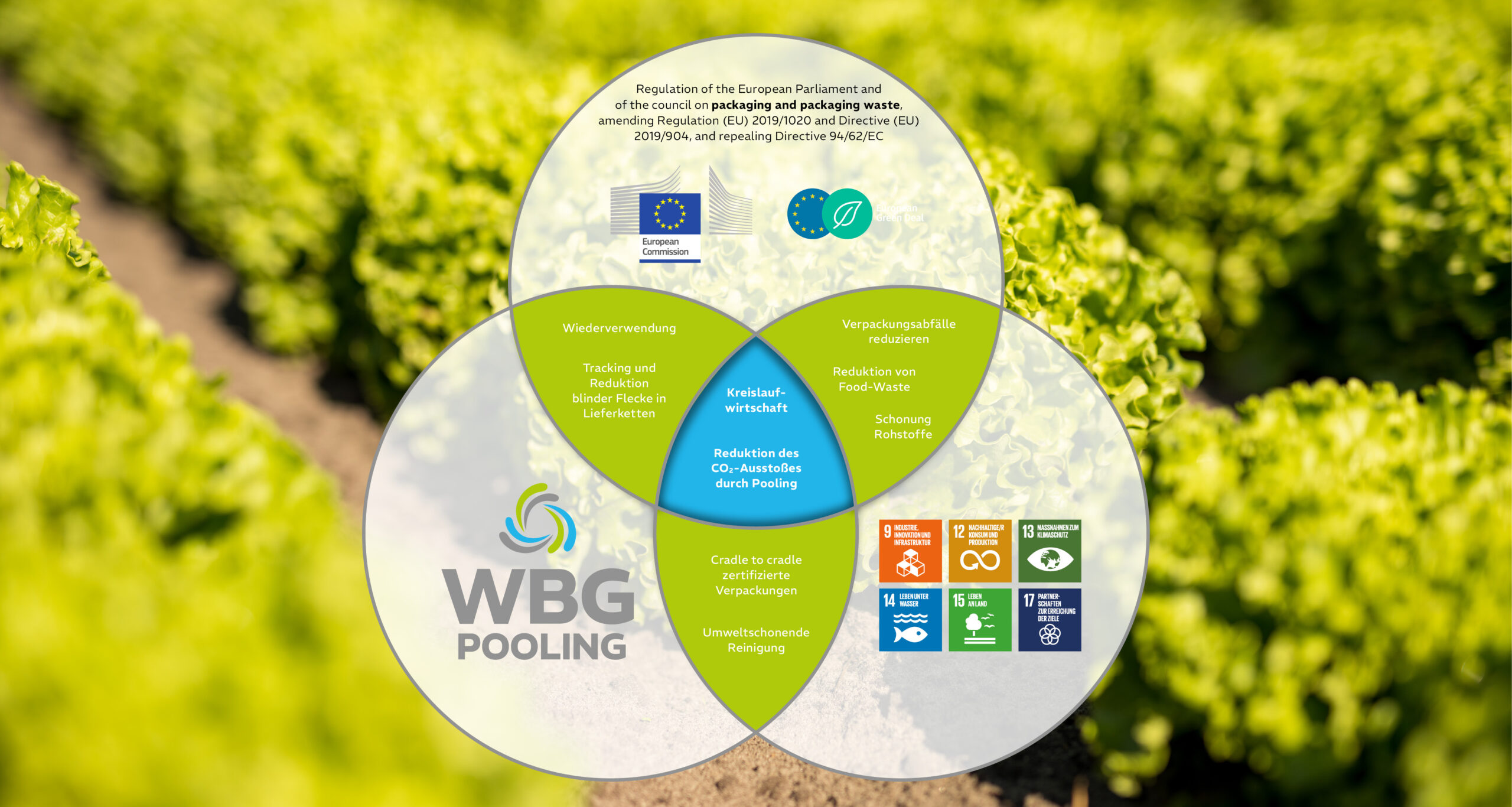 WBG Pooling and the Packaging & Packaging Waste Regulation: How Reusable Solutions Help Achieve ...