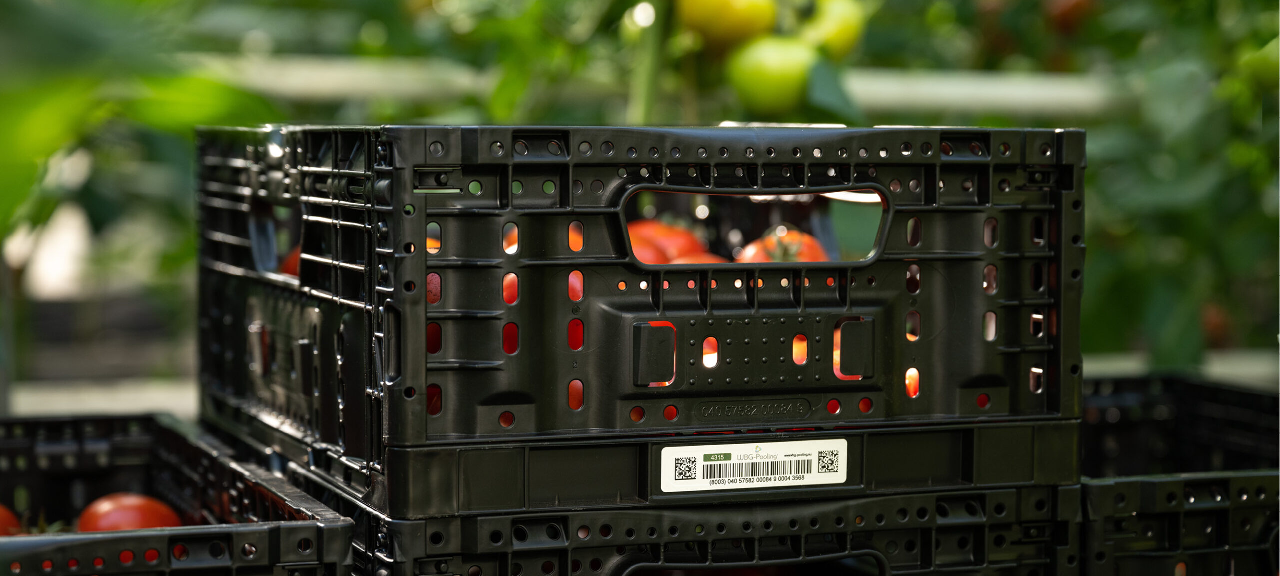 Save Food Study: Why Reusable Packaging is the Answer to Food Waste ...