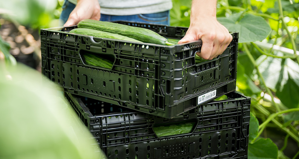 The foldable crate revolution with RFID labels: sustainability for ...